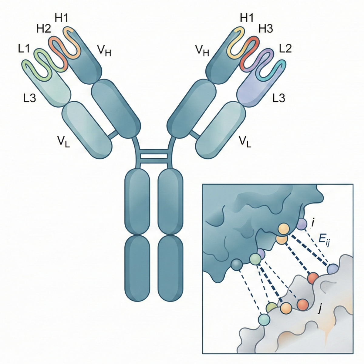 A collaboration for the common good rethinks molecular binding and drug ...