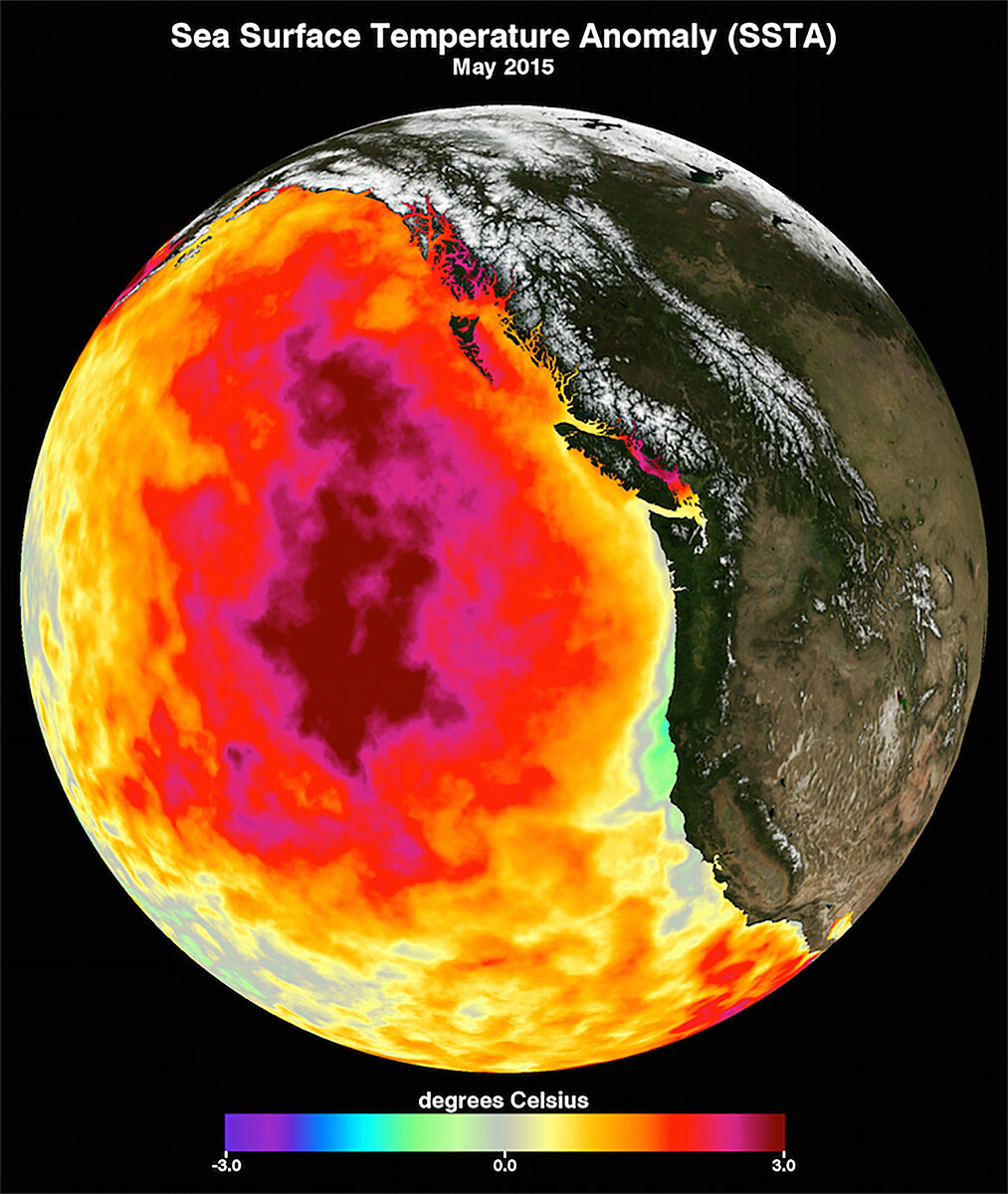 Increased heat waves in the oceans | CSCS