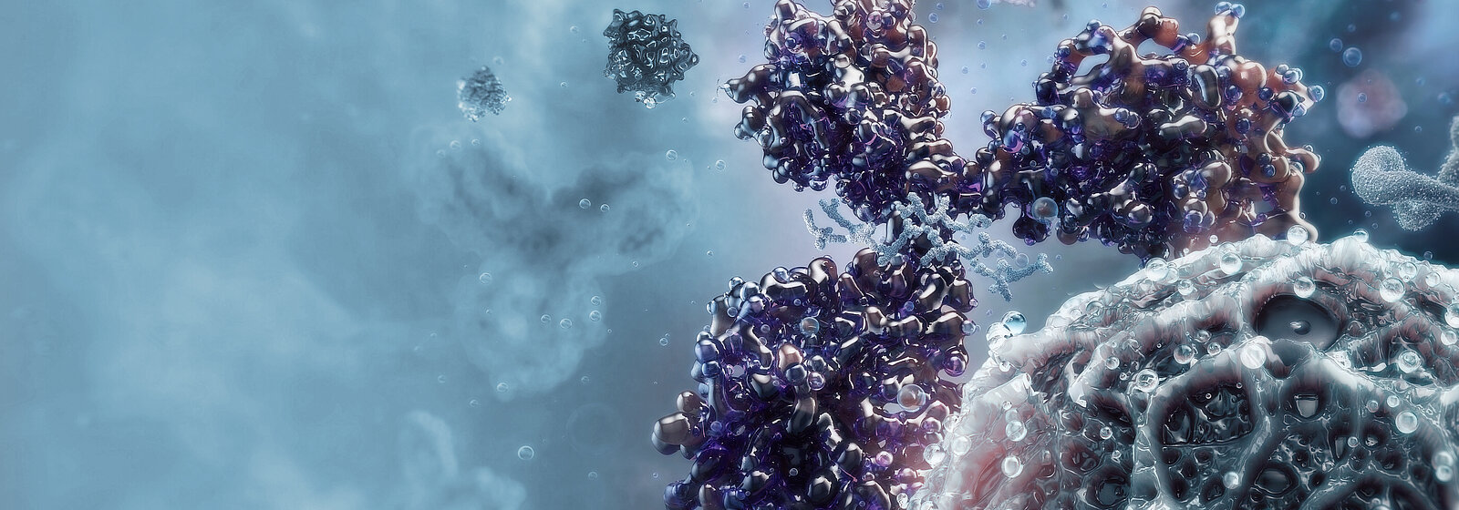 A collaboration for the common good rethinks molecular binding and drug ...